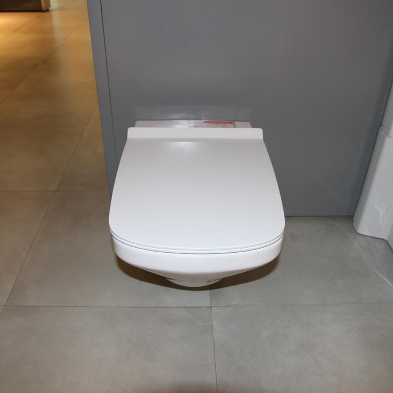 挂式马桶图片,挂壁式马桶,悬挂式马桶尺寸(第13页)_大山谷图库